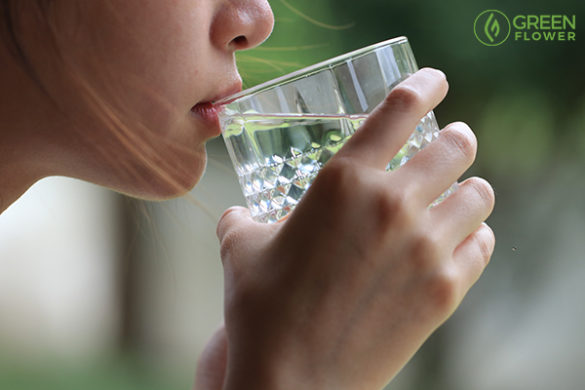 How to Handle and Avoid Cannabis Brain Fog | Green Flower News