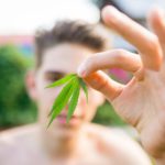 How To Decarb Cannabis Kief | Green Flower News