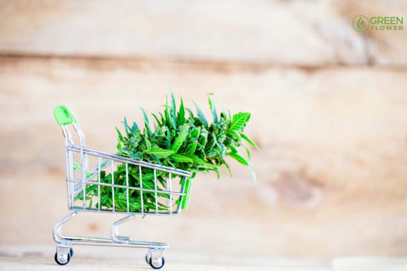 7 Reasons to Start Drinking Cannabis Tea | Green Flower News