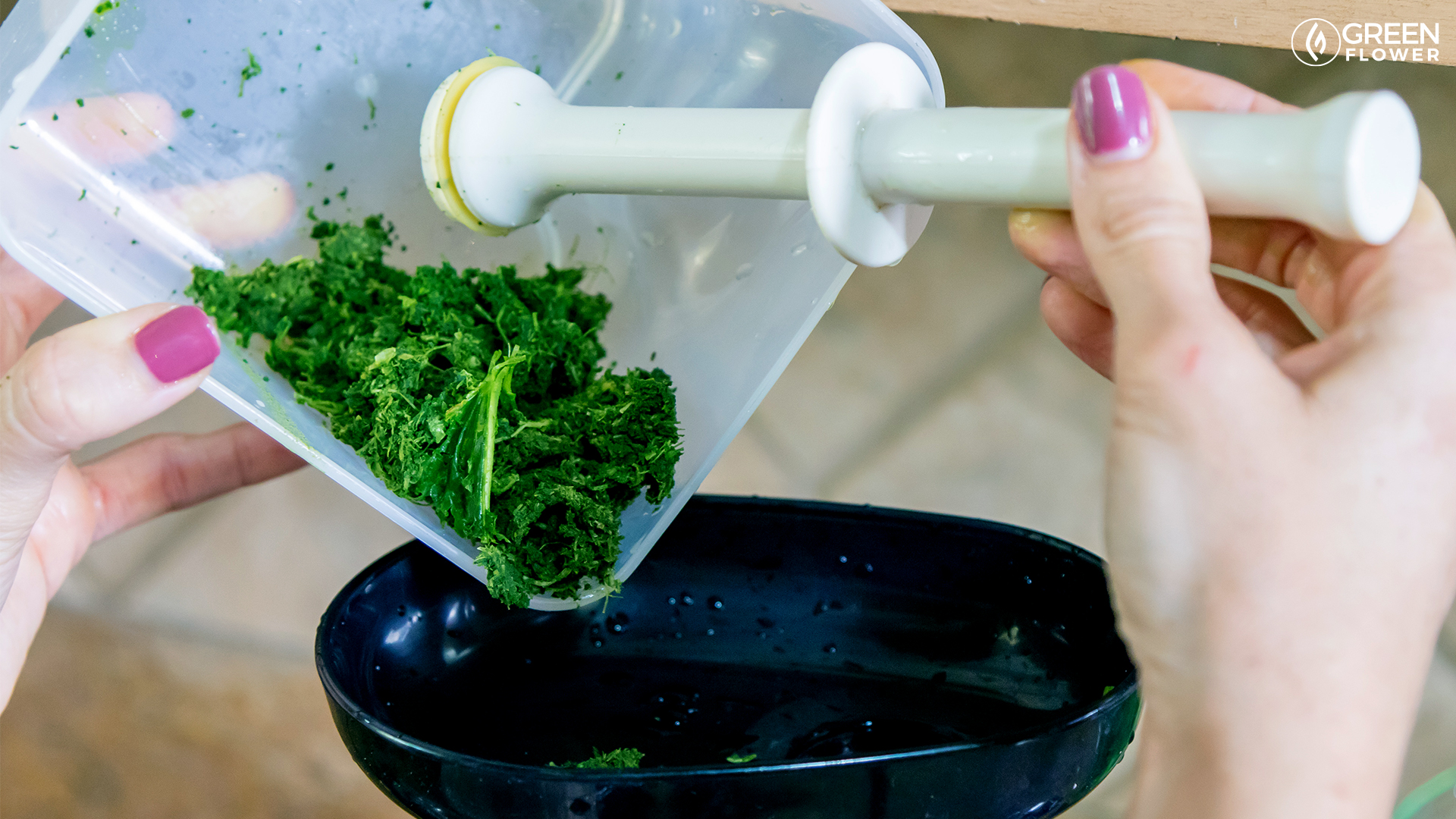 How To Juice Cannabis Plus Easy Drink Recipes | Green Flower News