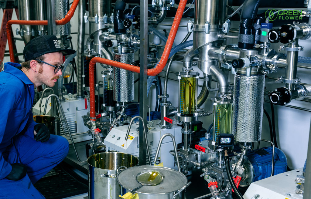 Cannabis Extraction: Methods & Products | Green Flower News