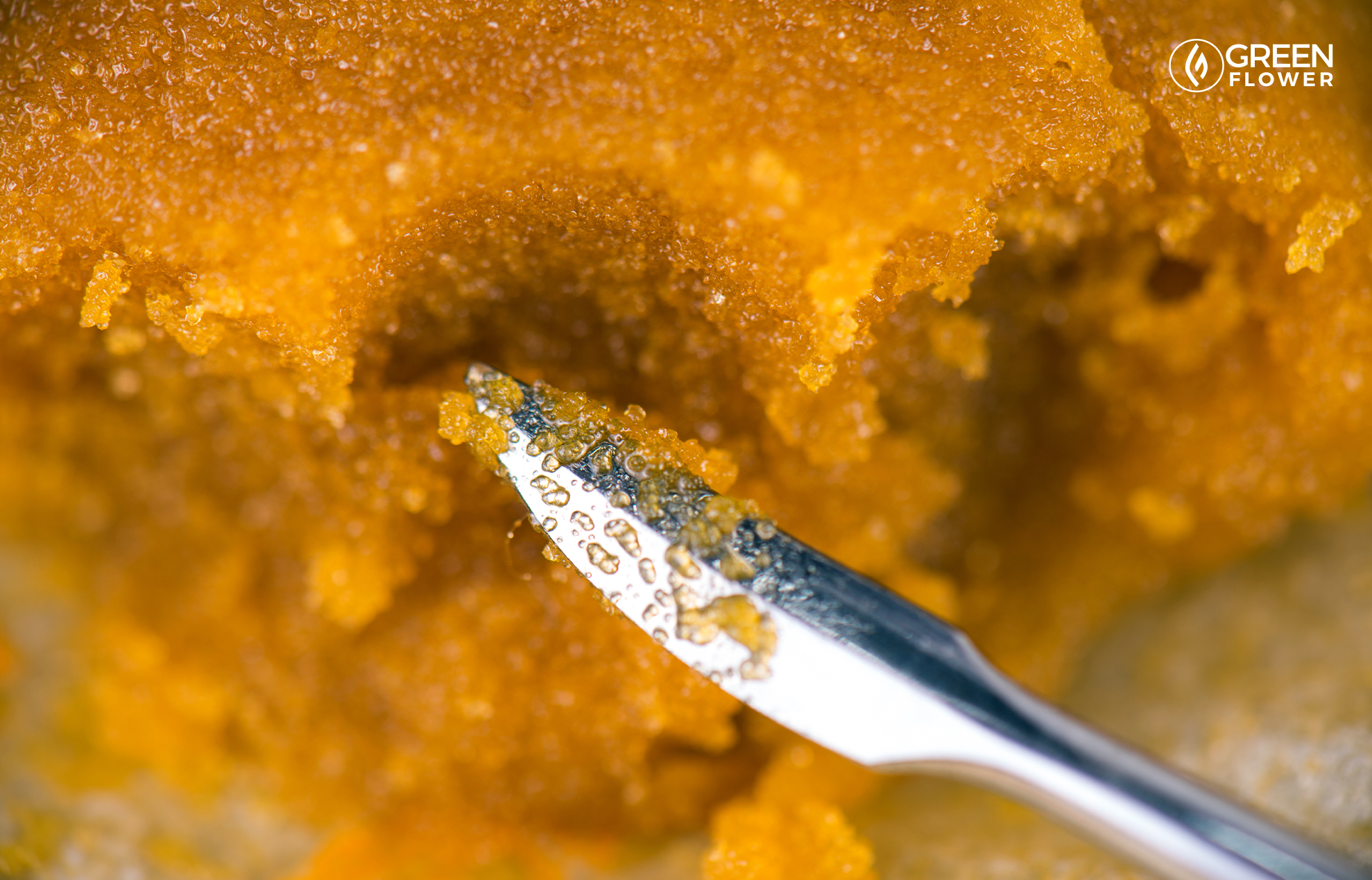 What Is Live Resin? Cannabis Concentrates | Green Flower News