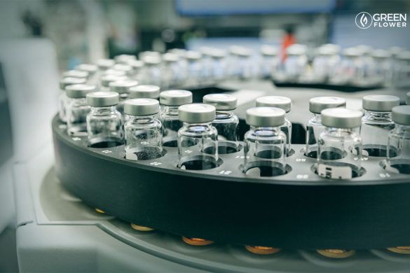 15 Essential Health Benefits of THC | Green Flower News