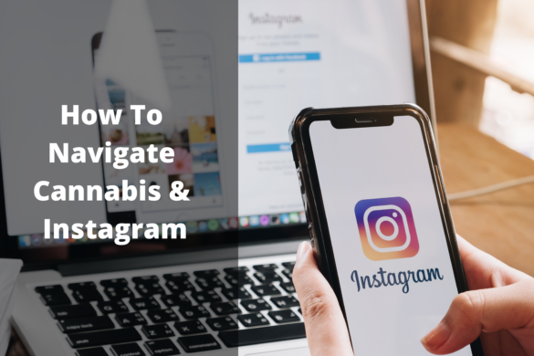 How Much Is A Gram? Visual Guide To Cannabis Amounts | Green Flower